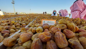 al qassim buraidah - Travellers KSA